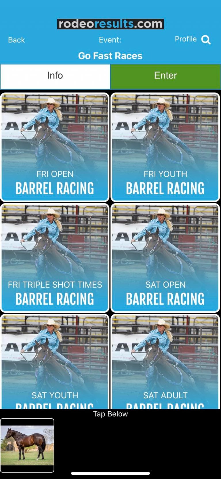 Rodeo Results Update: 3.1.0 - Rodeo Results